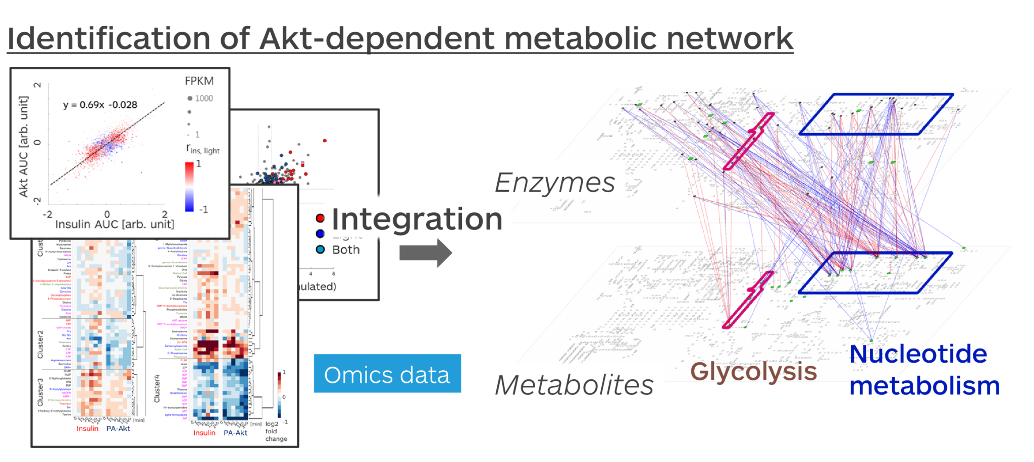 Optical control of intracellular signaling – Analytical Chemistry ...